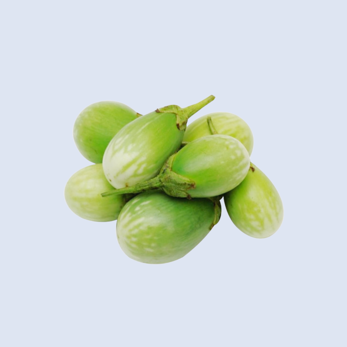 White Brinjal in Fresh Vegetables | theeliteapp - Multipurpose ...